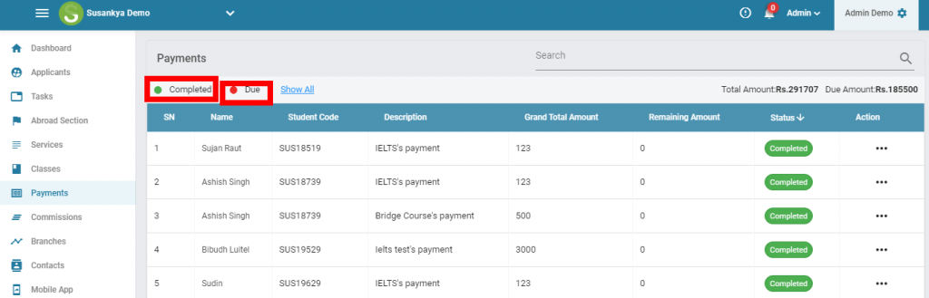 What are Payments in CMST – Consultancy Manager (CMST) Support